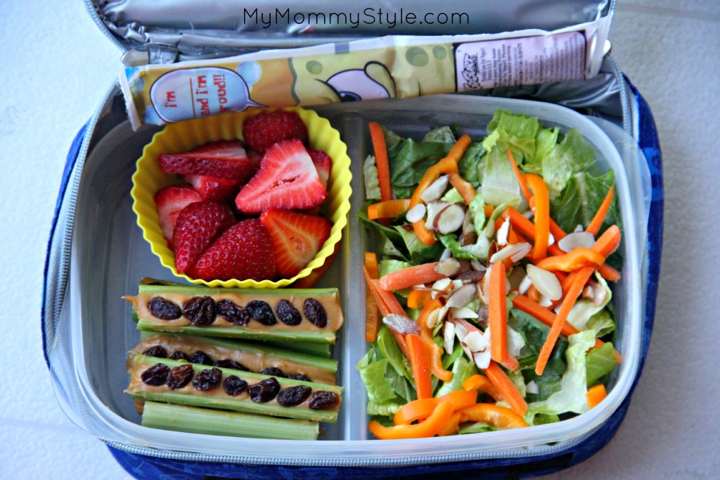 25 Healthy Lunch Box Ideas My Mommy Style